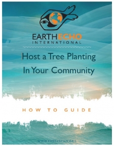 How To: Host A Tree Planting